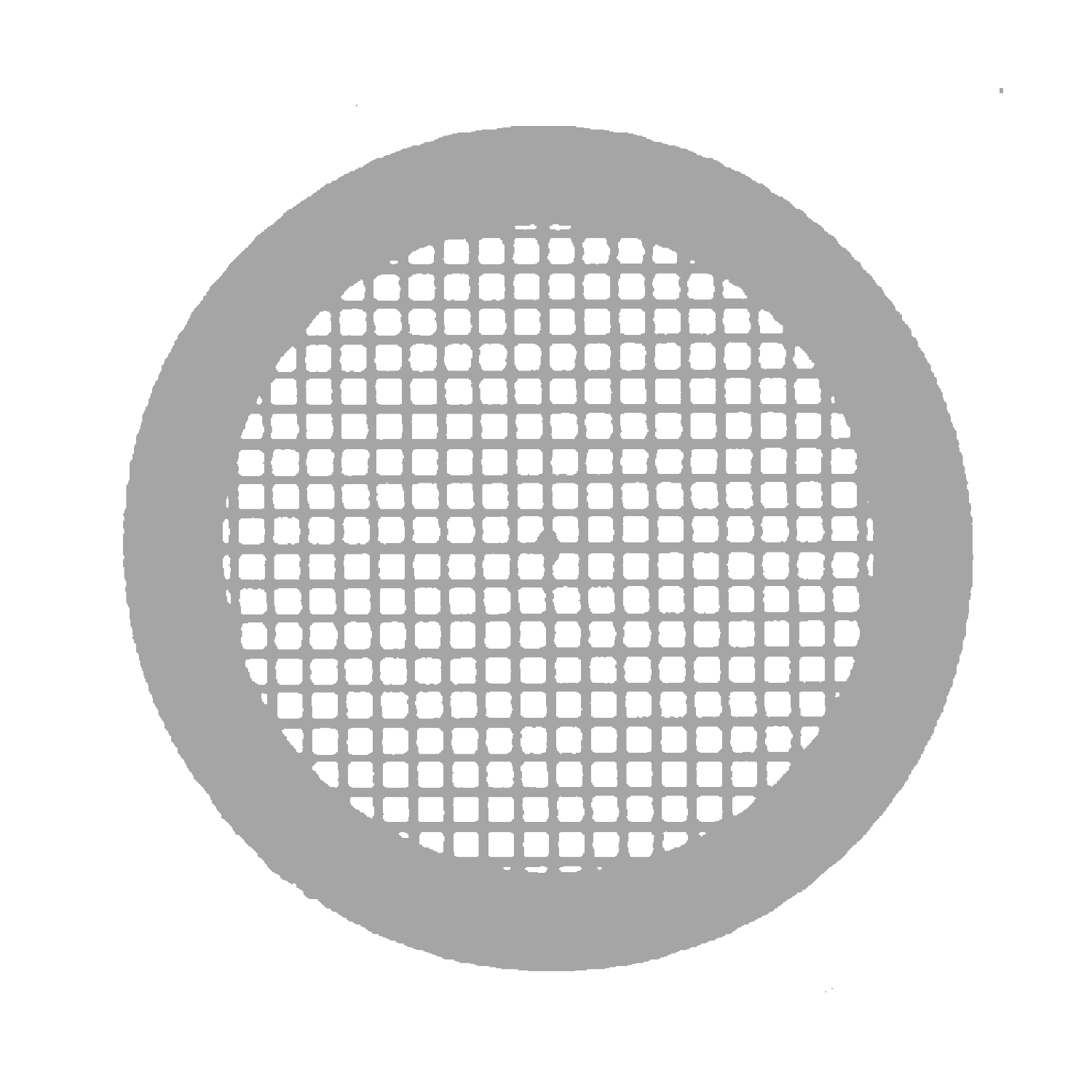  TEM 200 Mesh 100 TESCAN